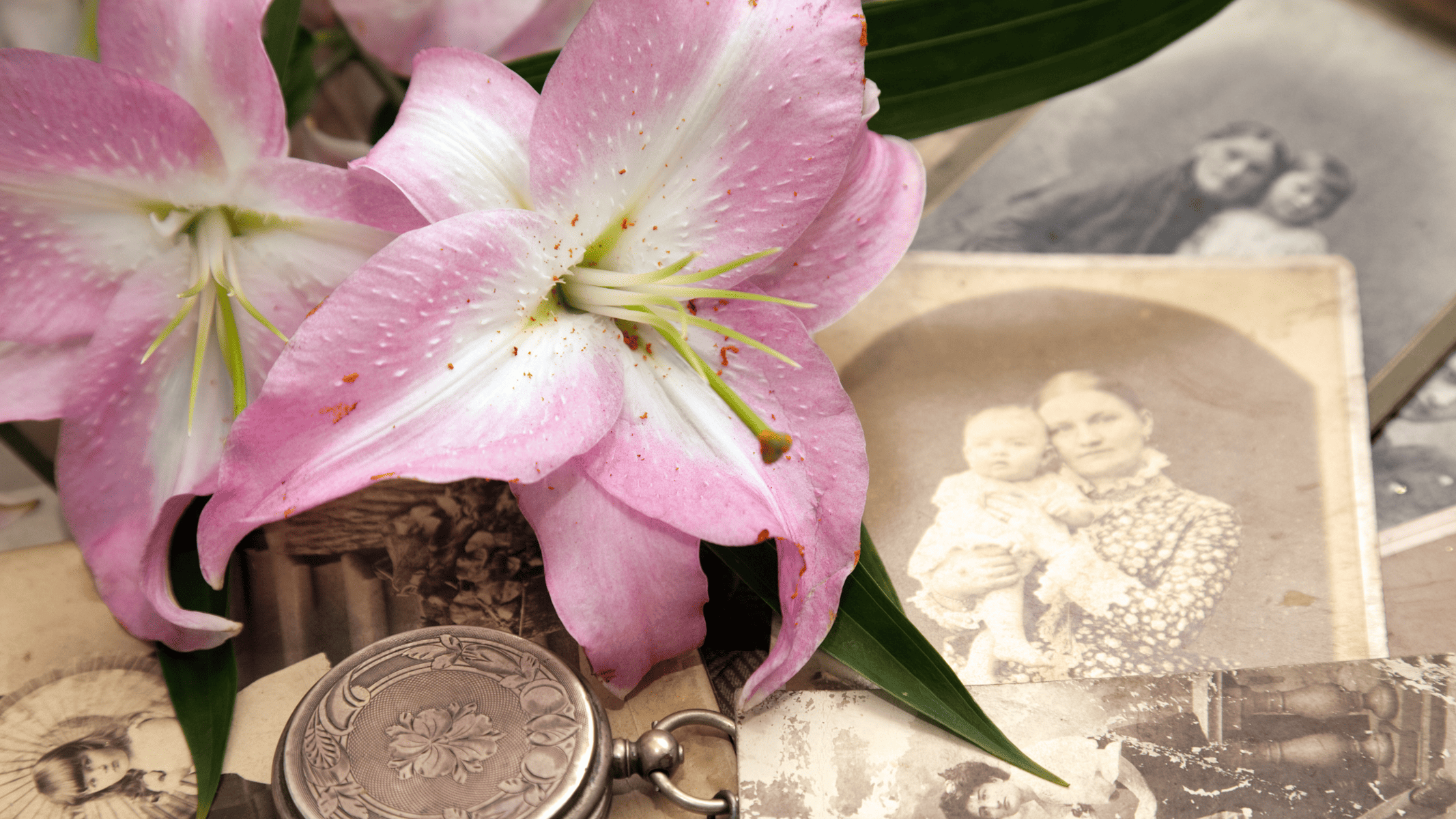 Symbols Of Grief And Loss: Understanding The Meaning – Journey for Jasmine